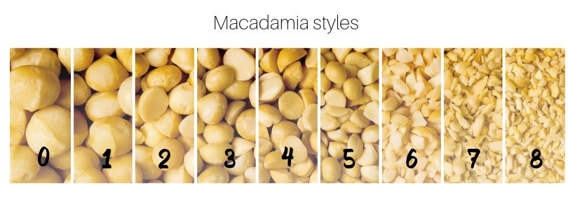 Macadamia growing and supply: your top questions answered - Australian ...