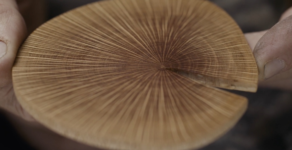 Macadamia Change Makers take centre stage in new campaign - Australian ...