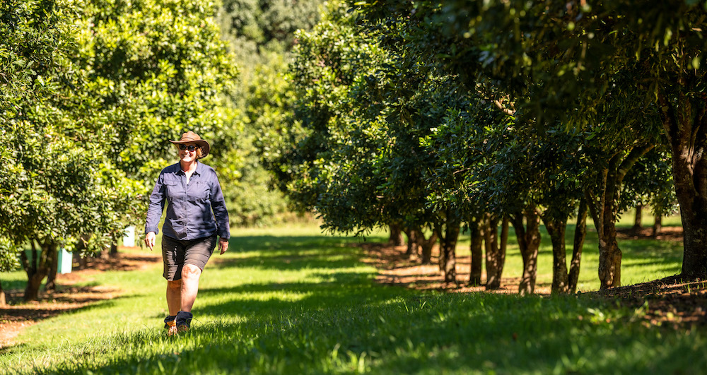 Rethinking waste: how macadamia shells could help reduce carbon ...
