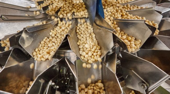 5 surprising facts about Australia’s 2 main macadamia growing regions ...