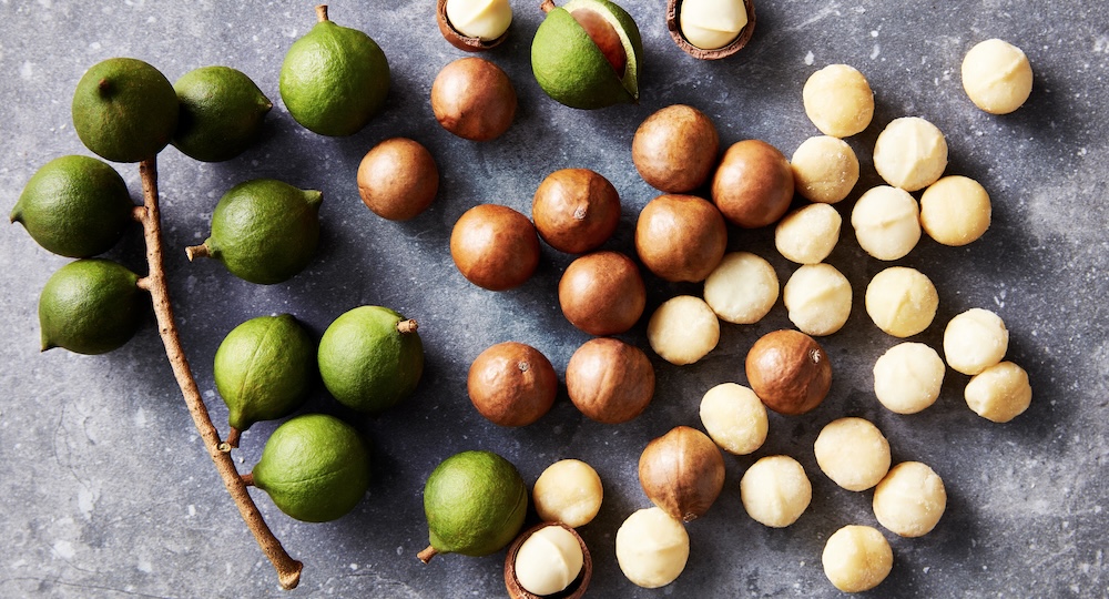 2024 Australian Macadamias Yearbook - Australian Macadamias